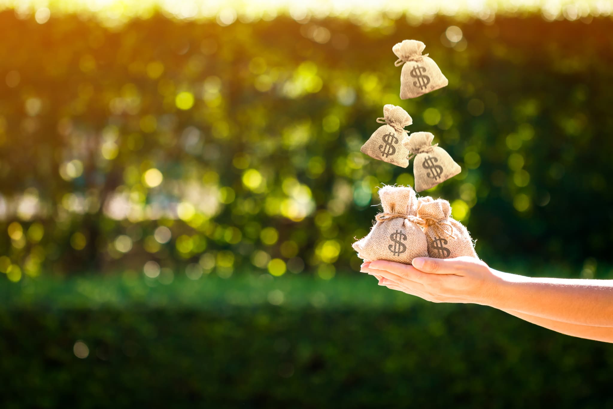 Riester-Rente: 4 Fallstricke & 6 Modelle der privaten Altersvorsorge