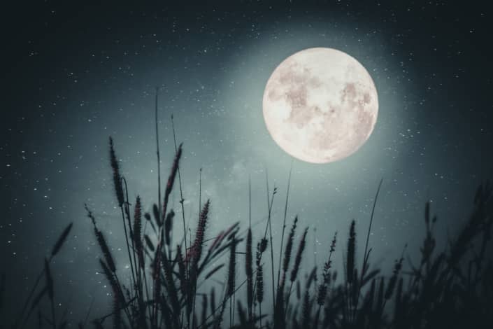 Mondzyklus: 4 Mondphasen & 6 erstaunliche Fakten » lernen.net